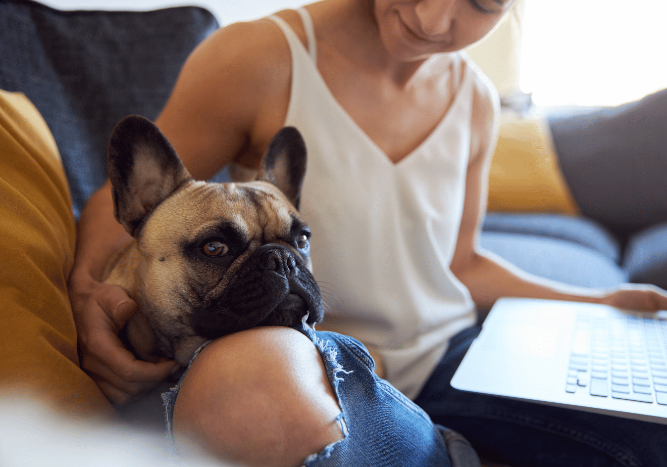 Easiest jobs to get in Australia (no experience needed) | Jora