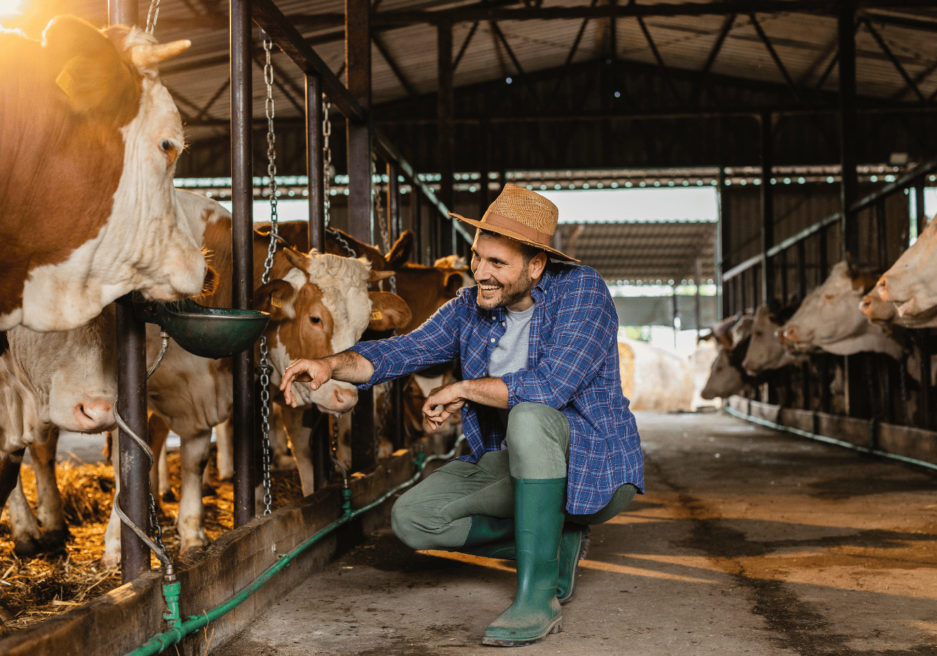 Entry level jobs working with animals in Australia | Jora